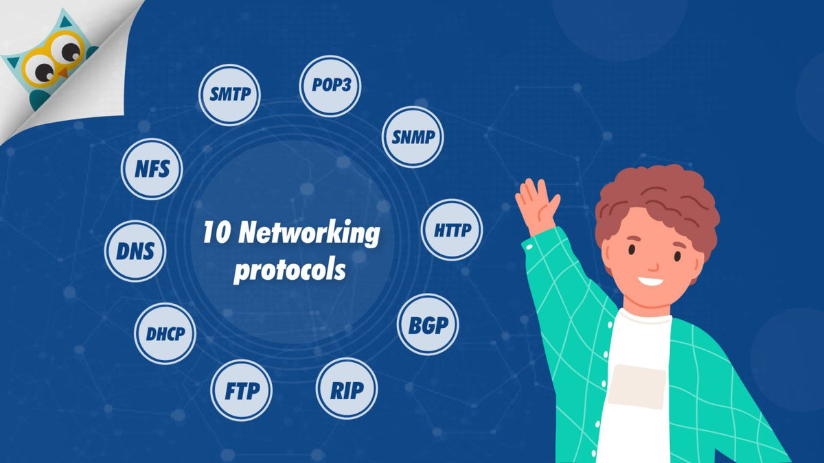 Summary of common network protocols – IOT Module Shop Manufacturer Factory